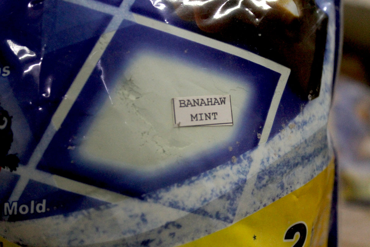 2 KG NOVTEK TILE GROUT 105 BANAHAW MINT – Novtek